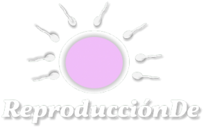 Reproducción de los protistas (protoctistas) ¿Cómo se reproducen?